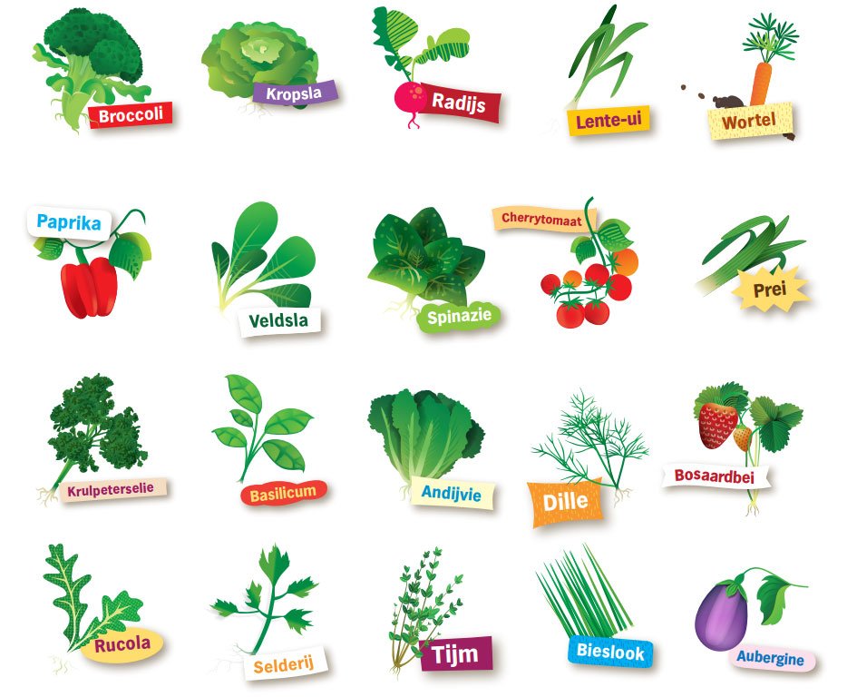 Kleine moestuin aanleggen met een moestuinbak doe je zo